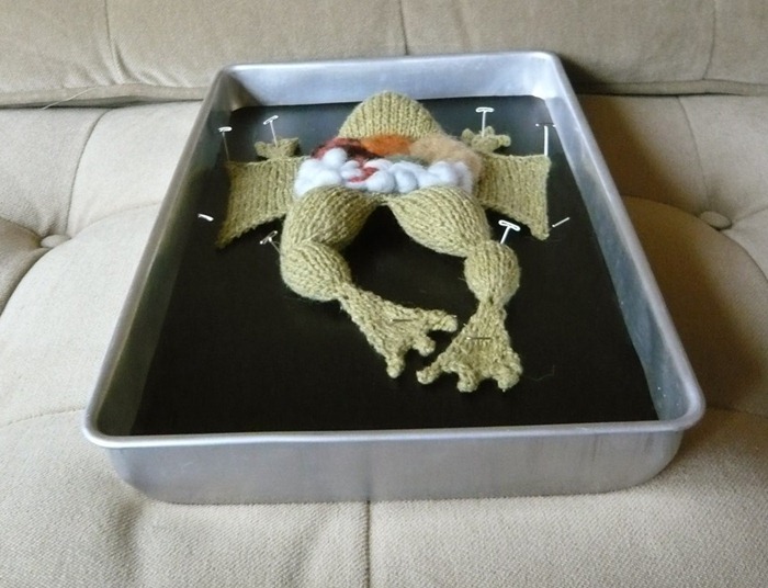 Creative Knitted Dissection: Biology Meets Art | Information Hub Of Besties